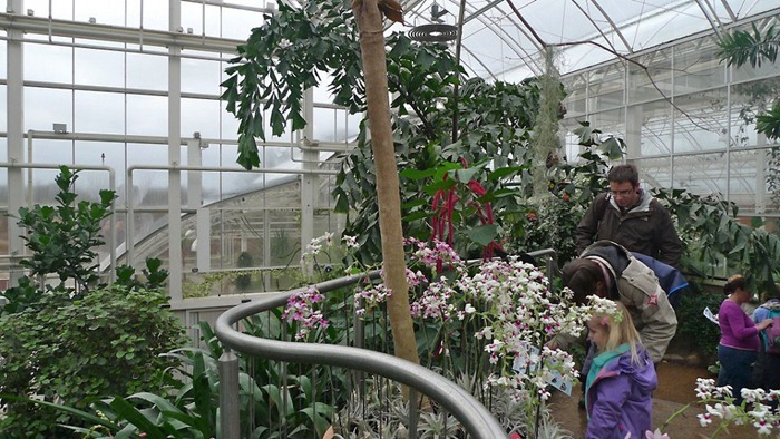 Butterfly Exhibition at RHS Garden Wisley, UK | Amusing Planet